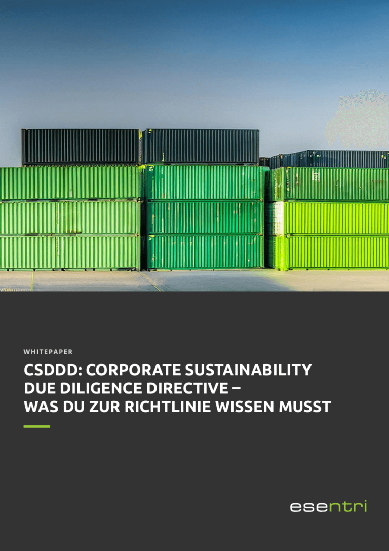 CSDDD: Europäische Lieferkettenrichtlinie für Unternehmen